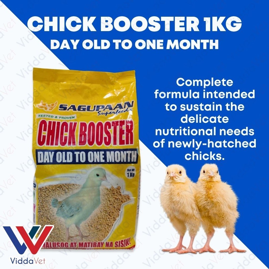 Superfeeds Chick Booster 1kg - Promotes Healthy Growth for Animals ...