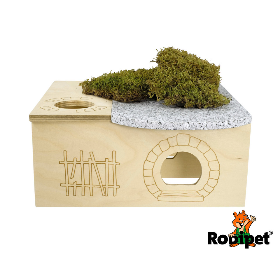Rodipet Furling Dwarf (Medium) | Shopee Philippines