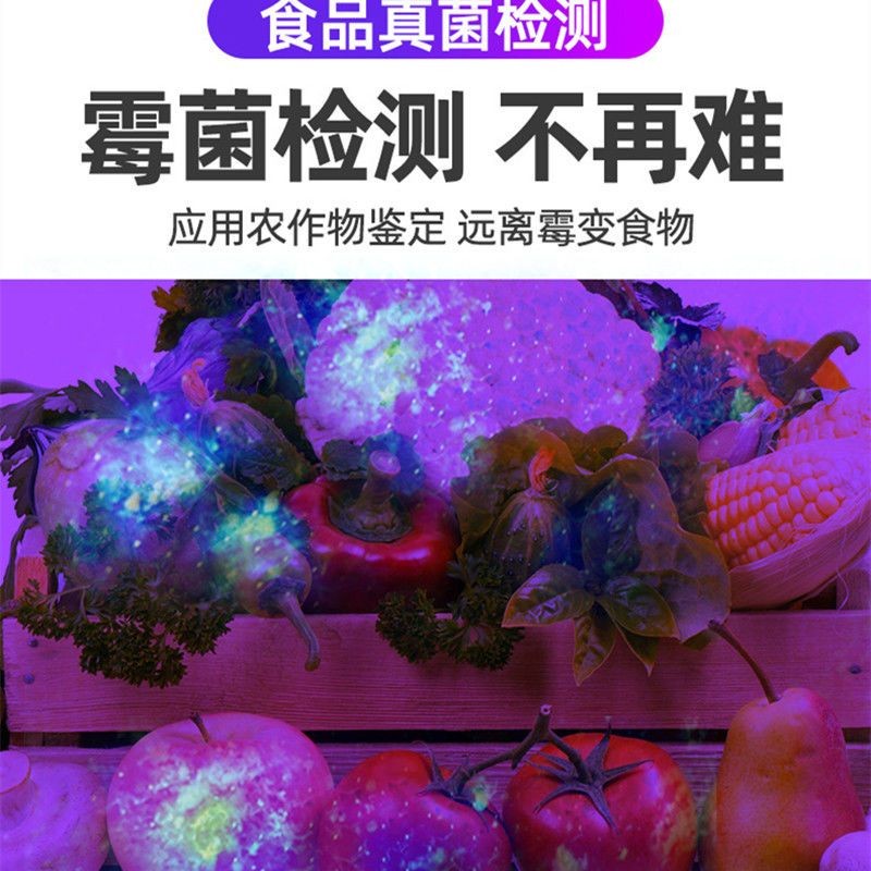 Yellow Koji Mold Toxin Ultraviolet Special Detection Pen UV365 Purple ...