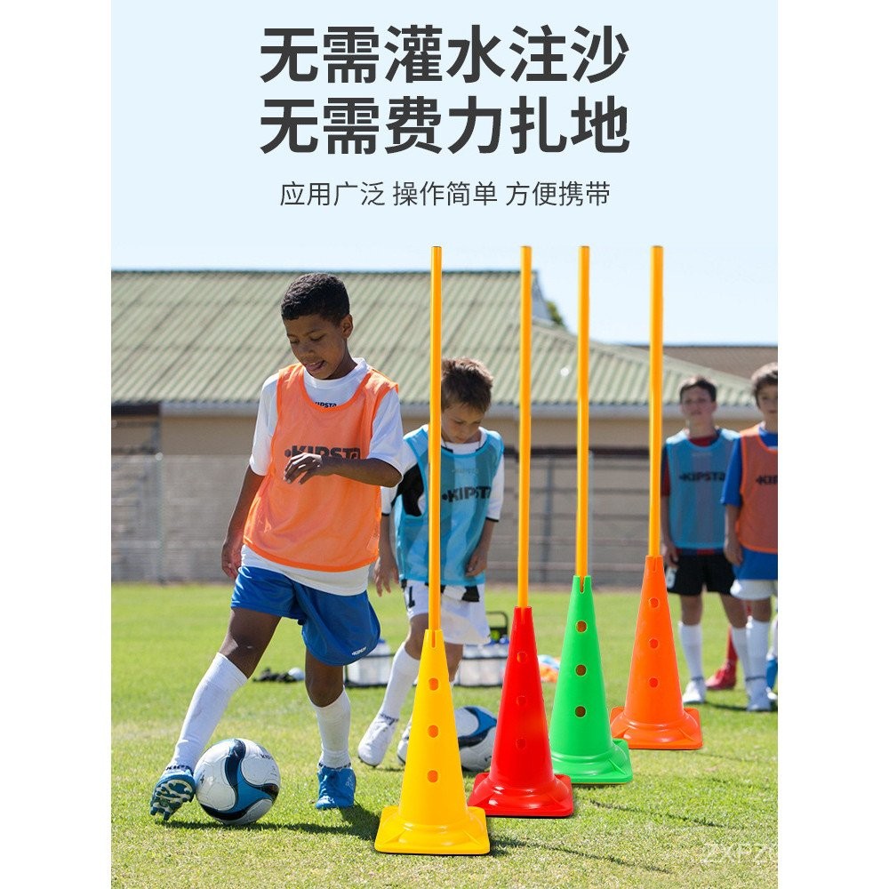 Parent-Child Obstacle Course with Poles, Snake-Shaped Signs, Ball ...