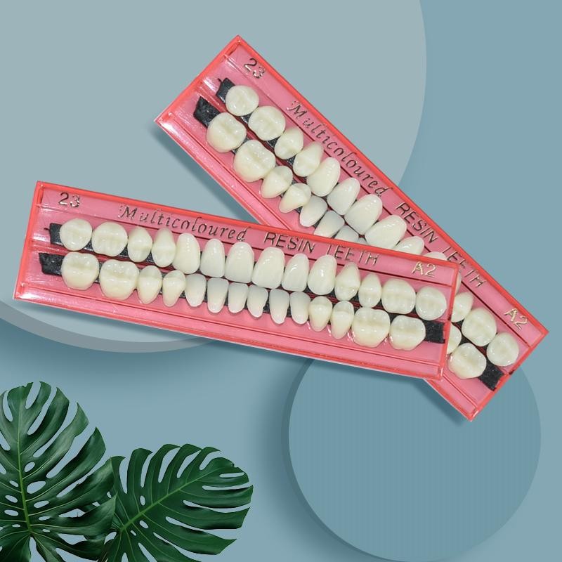 28 Pcs Cold Light Teeth Model Resin Denture Teeth 3d Shade Guide Color ...