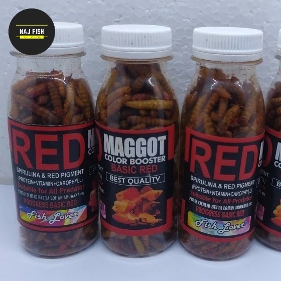 Red Color Booster Dried Maggots Proven to Be Awesome for Your Favorite ...