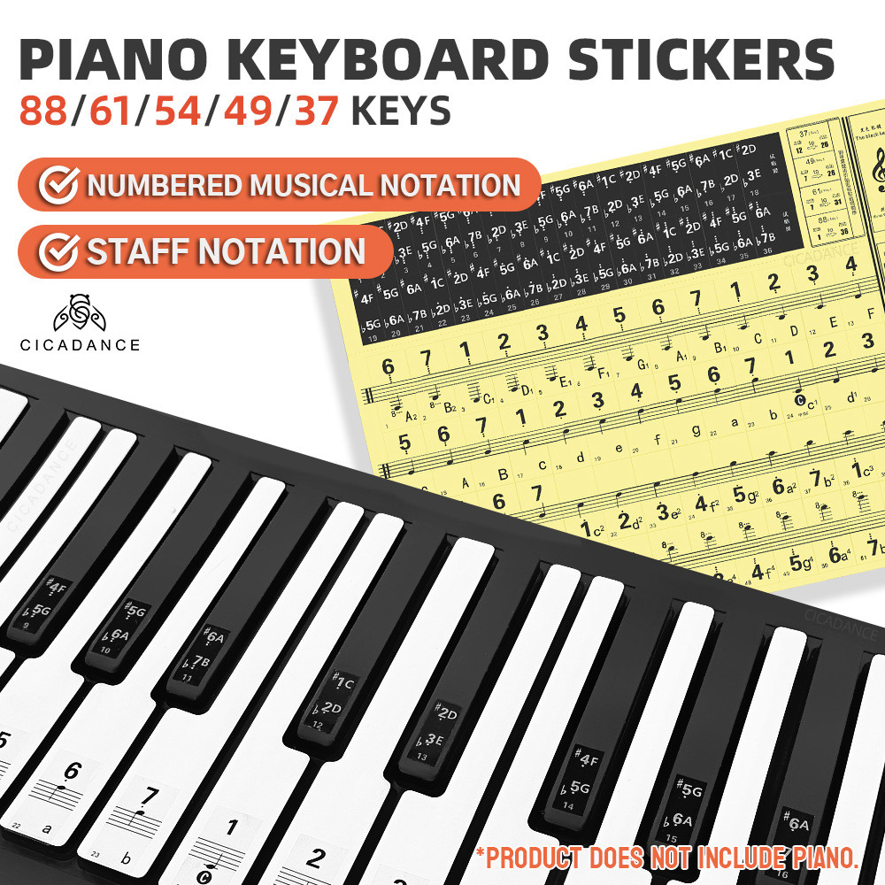 Piano Keyboard Sticker 88/61/54/49/37 Keys Large Print Removable for ...