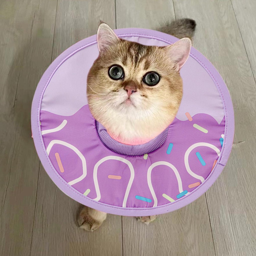 Cat Cone Foldable Lightweight Cat Head Cone Comfortable Neck Donut Pet ...