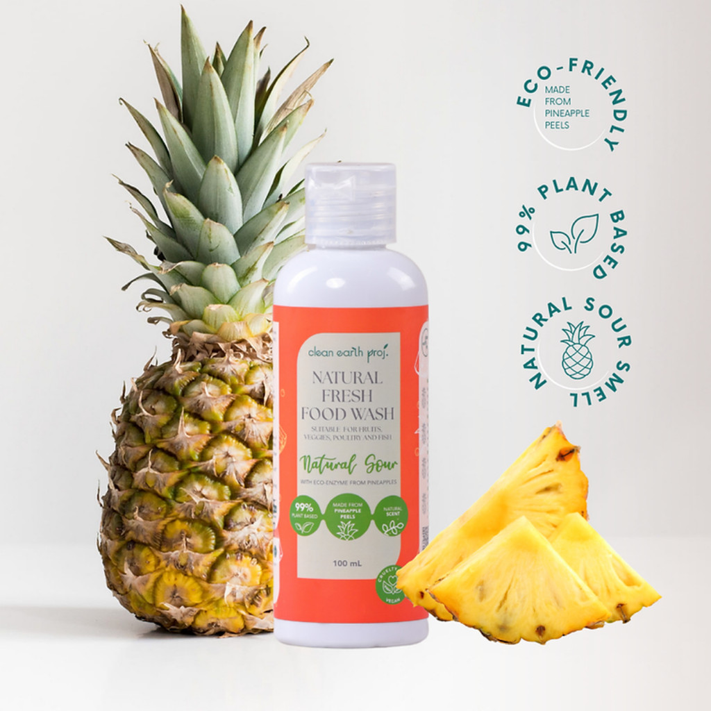 Clean Earth Project Natural Food Wash Natural Sour 100ml | With Eco ...