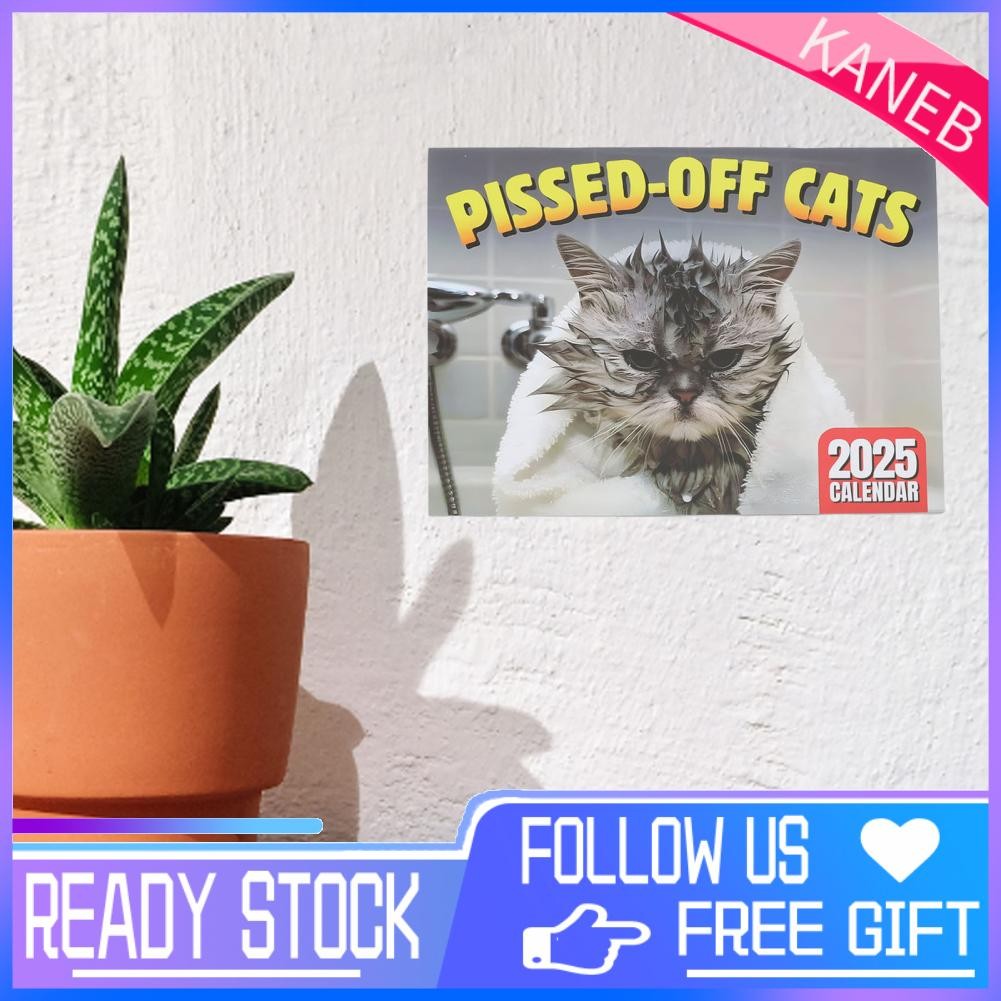 Kanebduk 2025 Calendar Spacious Layout Angry Cat 28.5x21cm Diverse ...
