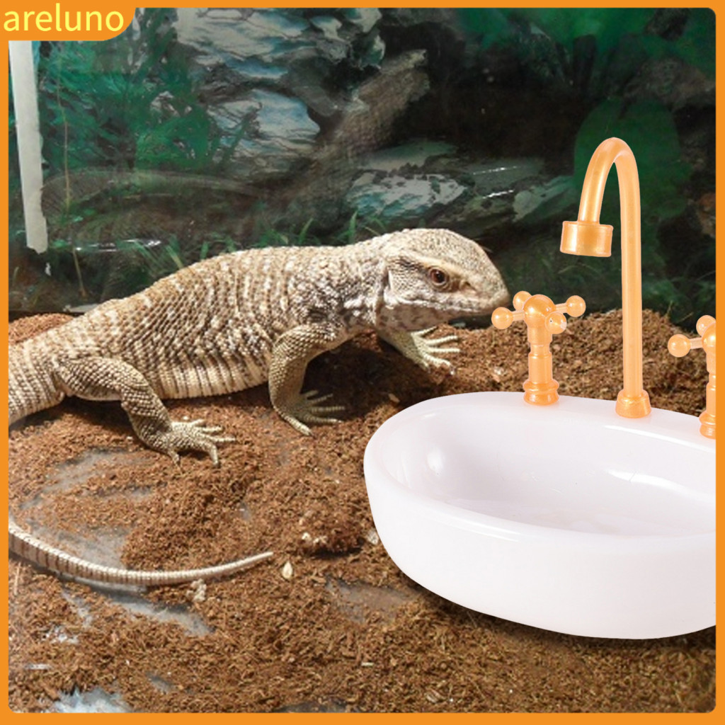 areluno| Turtles Lizard Tortoise Food Bowl Habitat Enhancement Non-tip ...