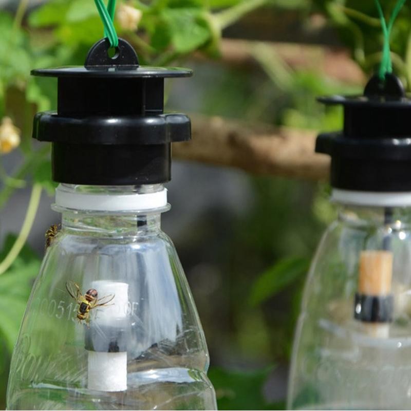 PST Belle Fruit Fly Trap Killer Plastic Drosophila Trap Fly Catcher ...