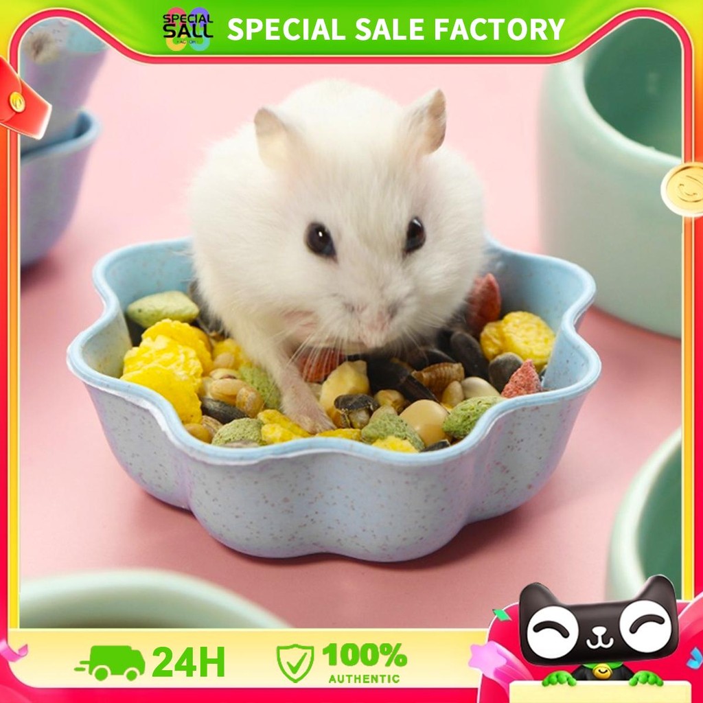 Cute Pet Food Dish, Hamster Food Dish.Colorful small dishes. | Shopee ...
