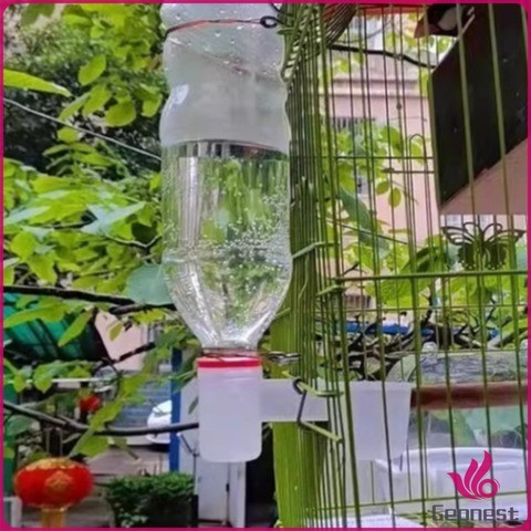 Geonest Pet Bird Drinker Feeder Chicken Pigeon Special Drinking Feeding ...