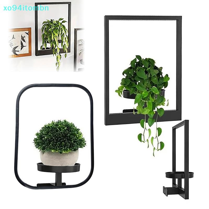 ito Metal Plant Wall Frame Photo Frame Wall Planter Wall Mounted er ...