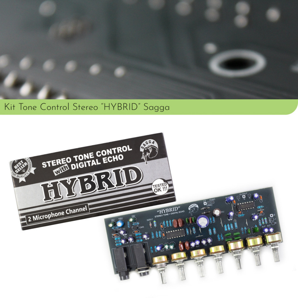 Stereo Tone Control Assembly Kit + Digital Echo HYBRID | Shopee Philippines