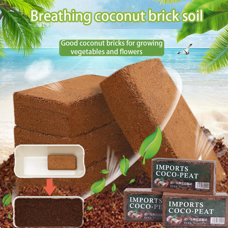 Coco Peat for Plants Natural Coco Peat Compressed Soil Coco Fiber Husk ...