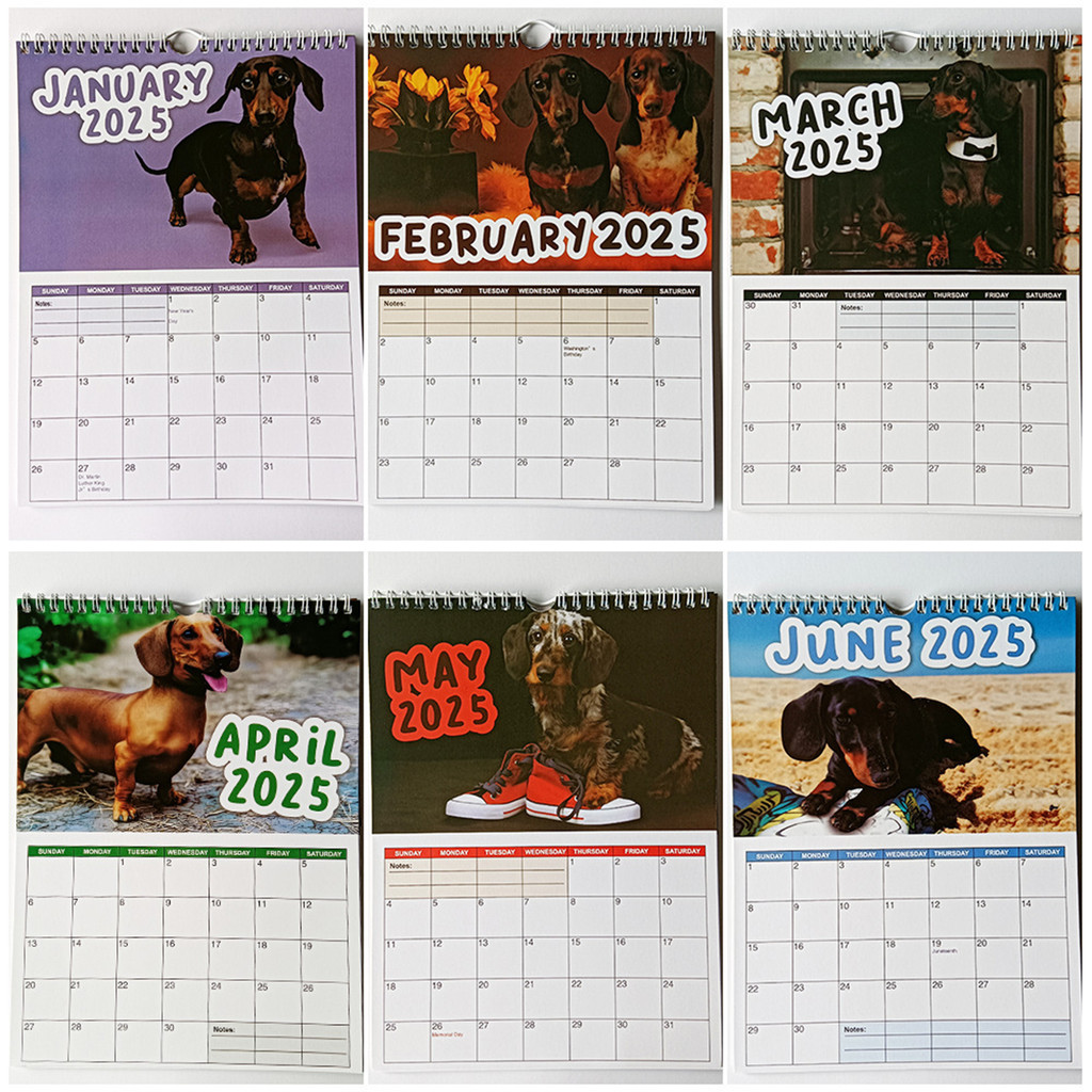 2025 Dachshund Wall Calendar Christmas Desktop Advent Calendar | Shopee ...