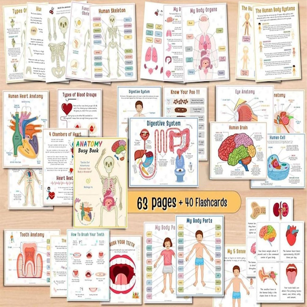 Human Anatomy Busy Book For Kids Human Body Anatomy Busy Book ...