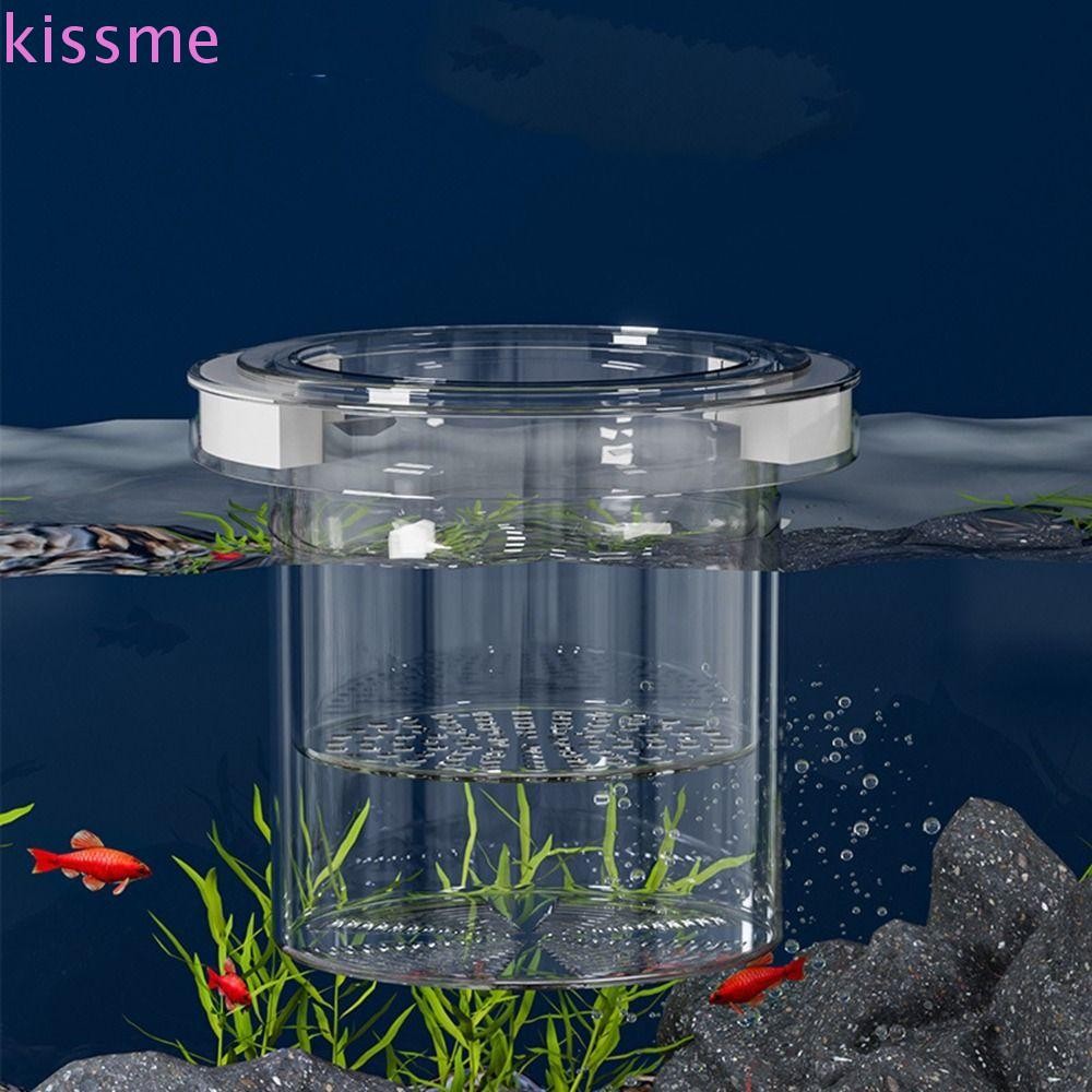 KISSME Floating Fish Breeding Isolation Box, Acrylic Feeding Aquarium ...