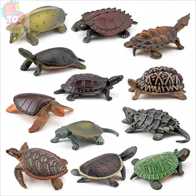 Simulation Animal Model Turtle Model Snapping Turtle Grass Turtle ...