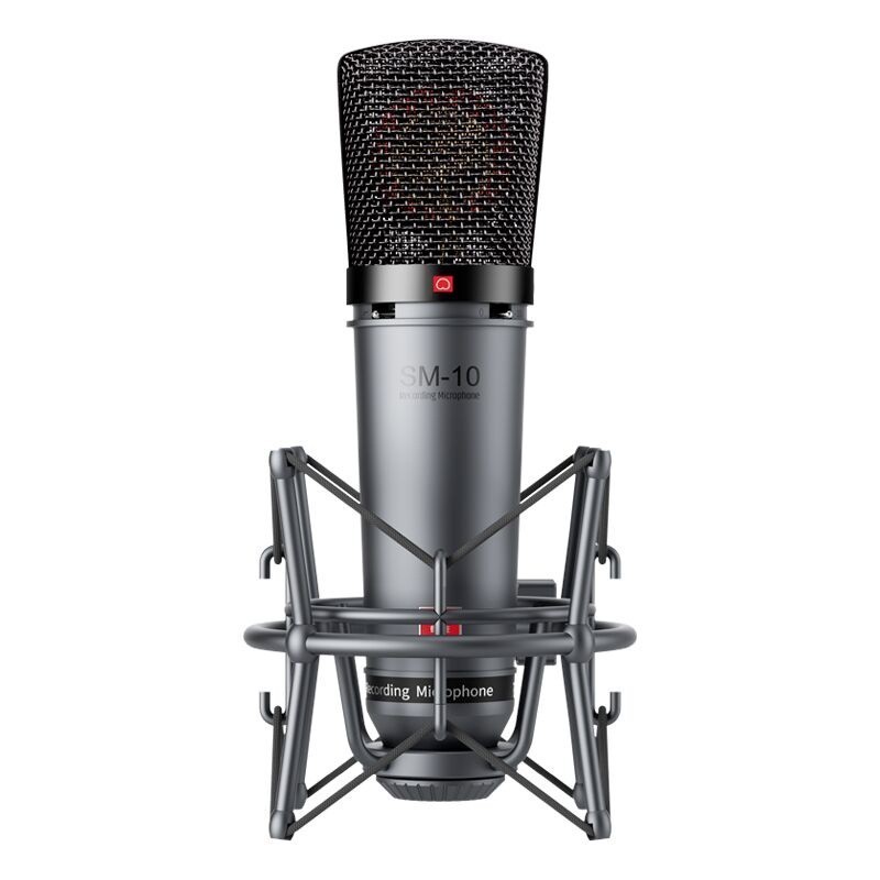 Takstar SM-10 condenser microphone mobile live wired condenser ...