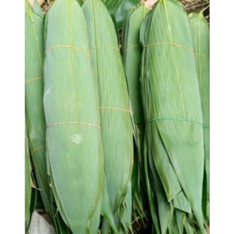 Bamboo Leaves Wrapped Bakcang Contains 50 Sheets. Jumbo bamboo leaves ...