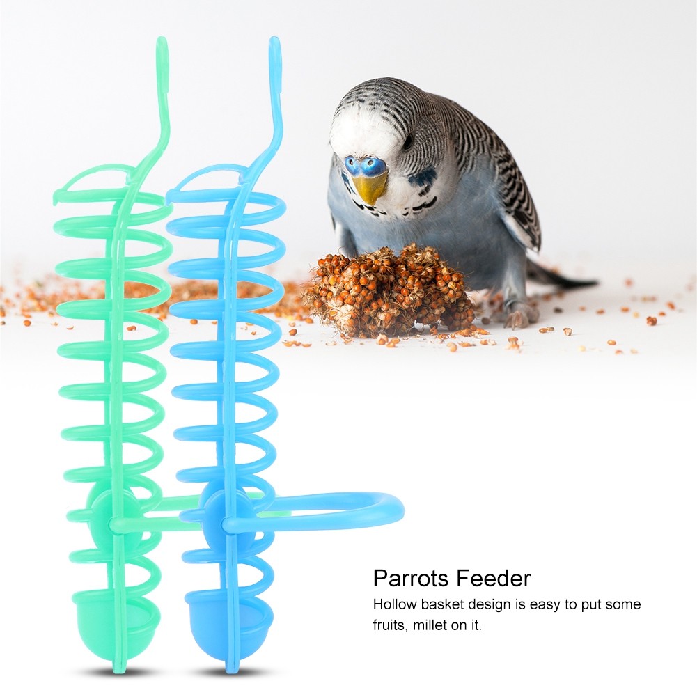 Bacony Parrots Feeder Basket Plastic Food Fruit Feeding Perch Stand ...