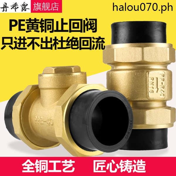 Pe Water Supply Pipe Check Valve Copper Horizontal Vertical Double-Live ...