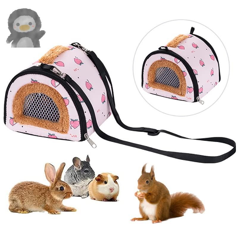 Rats Sugar Glider Small Guinea Pig Rat Chinchillas Hamster Hedgehog ...