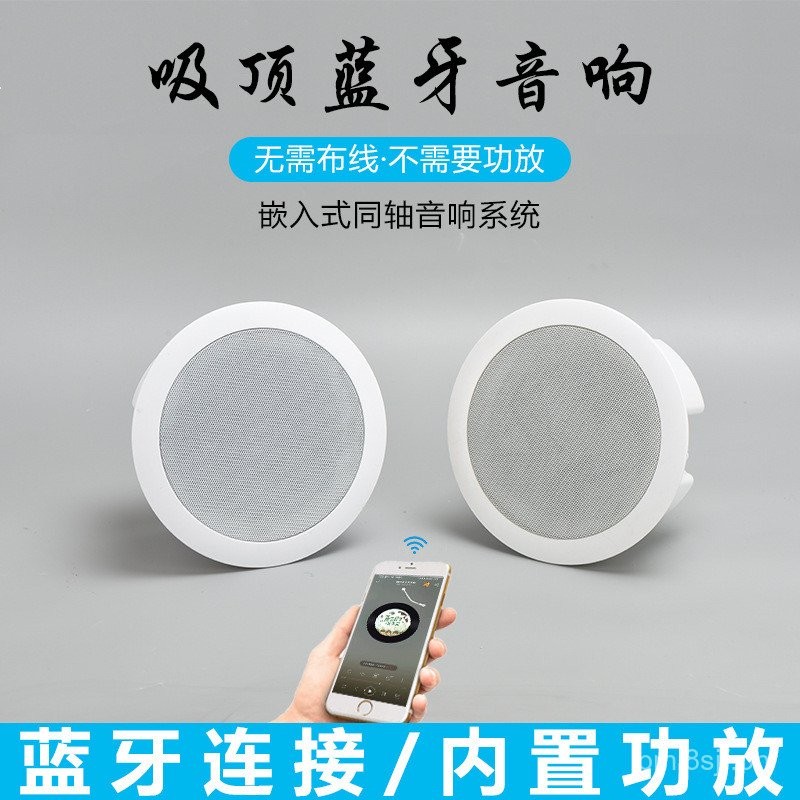 Indoor Ceiling Bluetooth Audio Commercial Wireless Speaker Restaurant ...