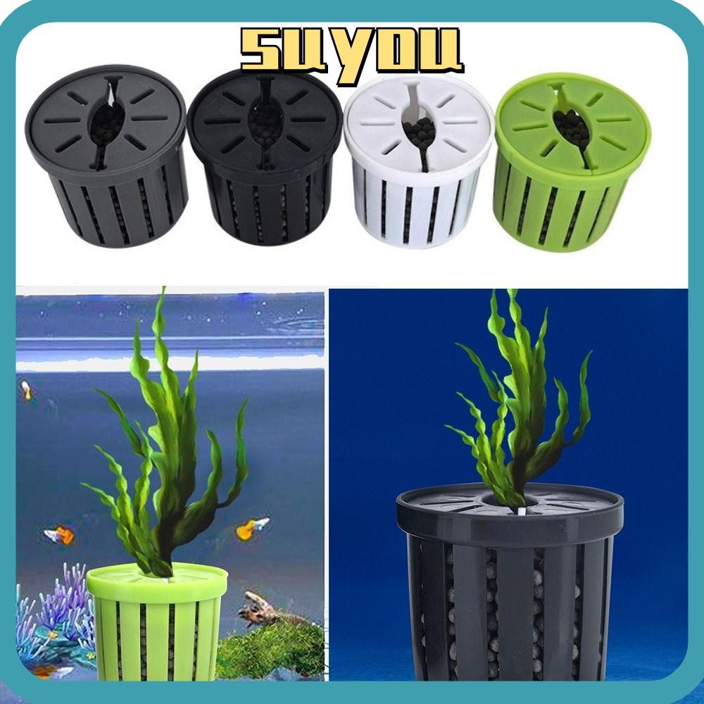 SUYO 4PCS Fish Tank Hydroponic Planting Basket, Water Plant Stand Glass ...