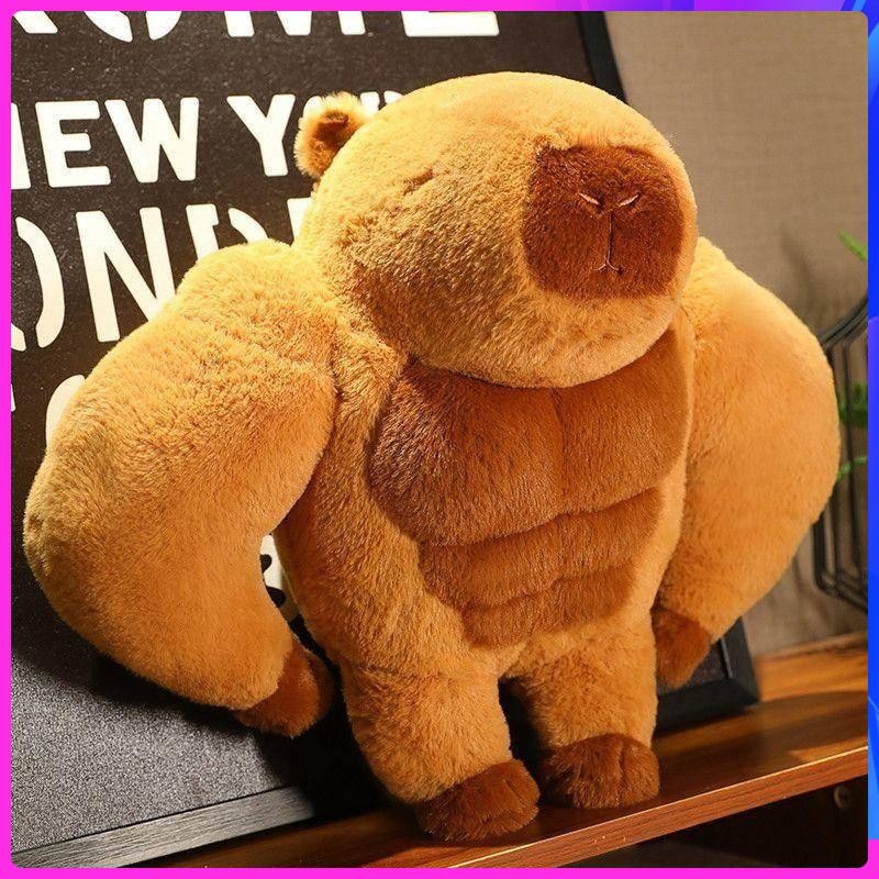 (Ready Stock) 65/75cm big muscle capybara plushie Doll Fitness Strong ...
