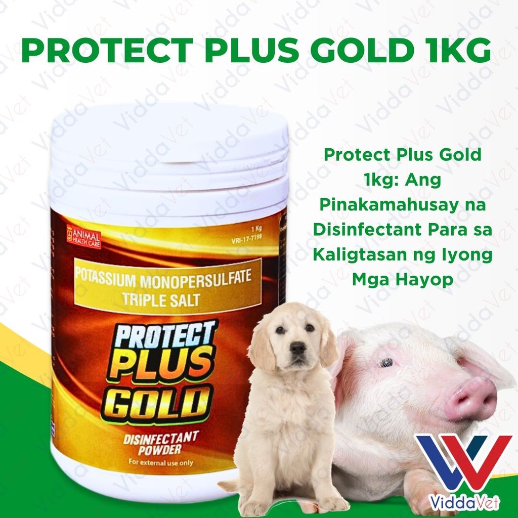 1KG Protect Plus Gold Animal Hygiene Disinfectant for Animals | Shopee ...