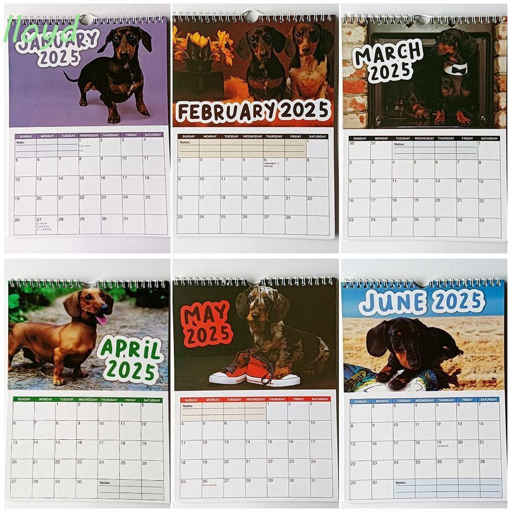 LLOYD1 2025 Calendar, Cute Pet Medieval Sausage Dog Themed Calendar ...