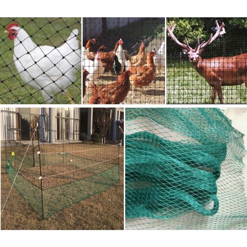 50/100M Chicken Net Range Net For Chicken Lambat Outdoor Bird Net ...