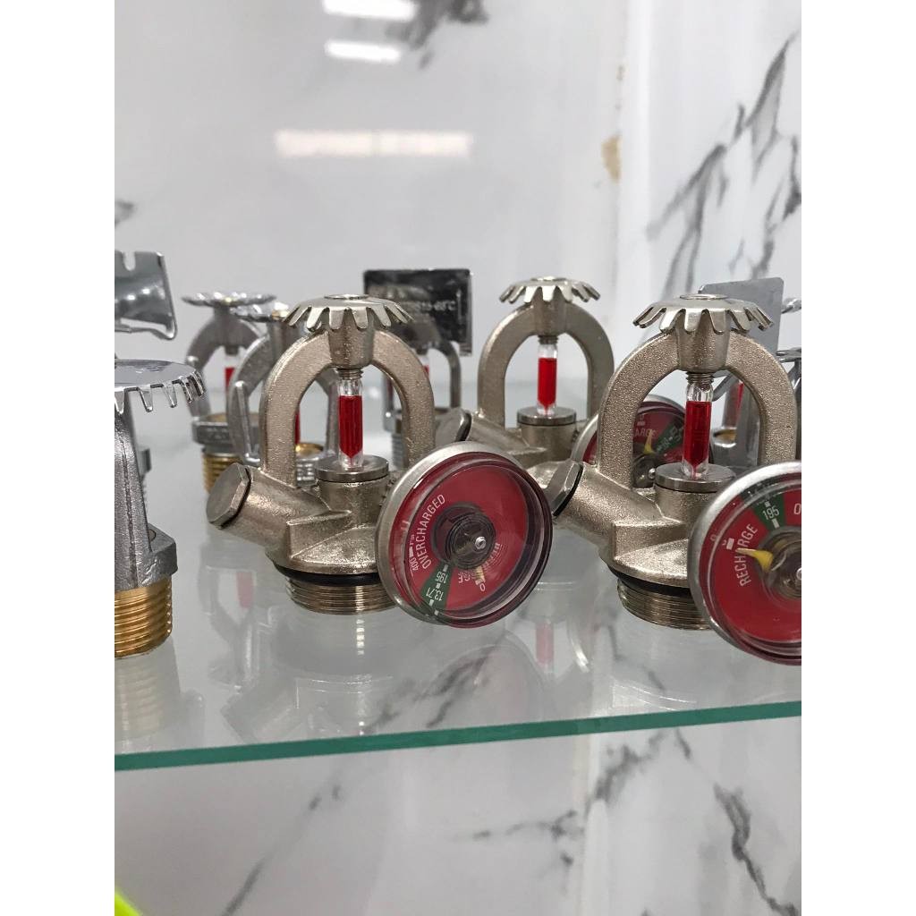 CEILING TYPE VALVE (FireFightingProtectionEquipment) | Shopee Philippines