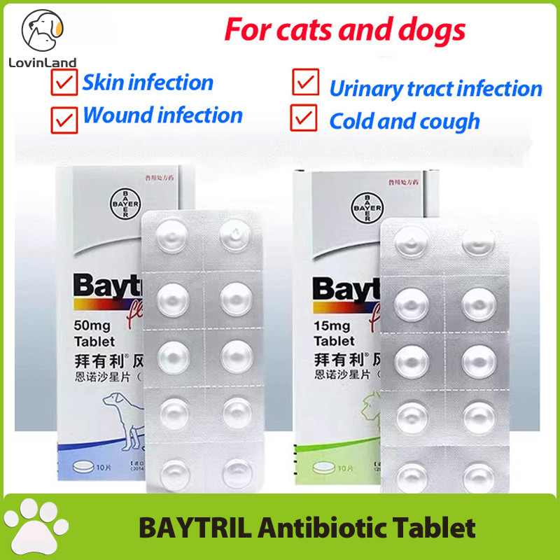 BAYTRIL Flavor Antibiotic Tablet for Dog and Cat for Post-operative ...