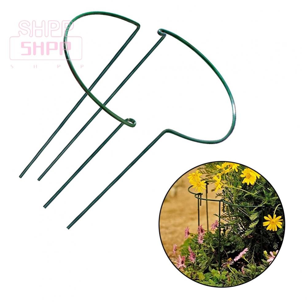 Effective Climbing Plant Supports with Natural Appearance in Green ...