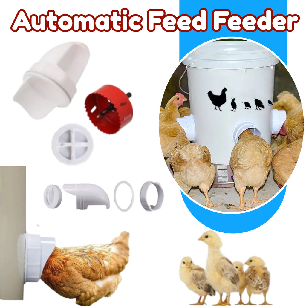 Automatic Feed Feeder Rain Proof Chicken Duck Feeder Port Gravity Feed ...