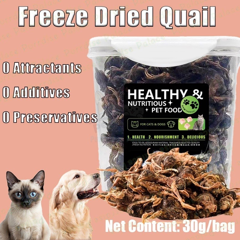 Freeze Dried Quail Treat for Dogs and Cats Training Reward | Shopee ...