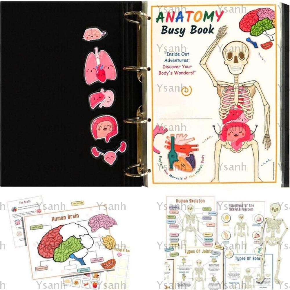 YSANH Human Anatomy Busy Book, Montessori Learning Materials Preschool ...