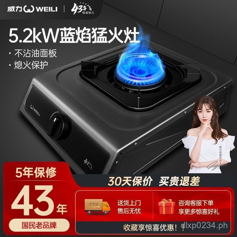 Powerful Fire Stove Cooktop Gas Stove Bottled Gas Stove WLD1Liquefied ...