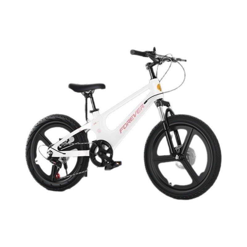 [Brand Review1079.8Ten Thousand+Strip]Permanent Mountain Bike Variable ...