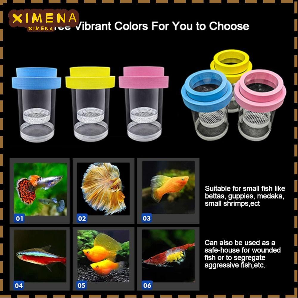 XIMENA Floating Hatching Box, Plastic Mesh Aquarium Breeder Floating ...