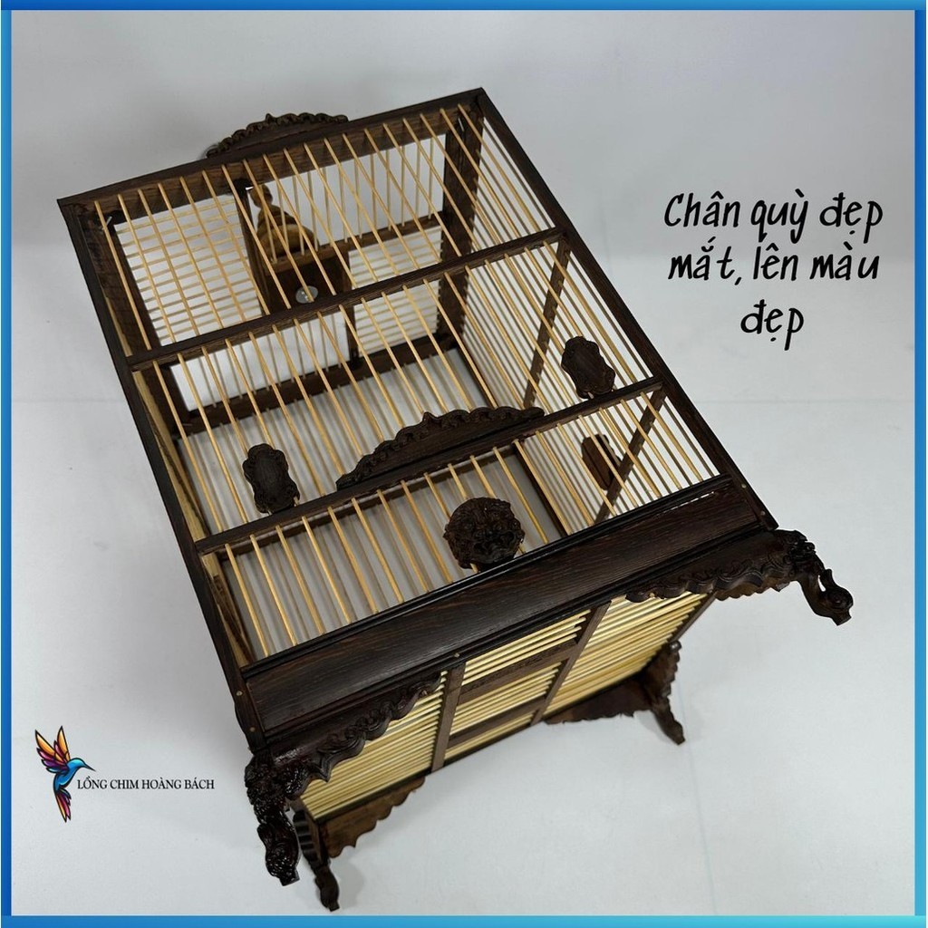 Frame of sunbird cage, piercing cage, made of peacock ebony wood, high ...