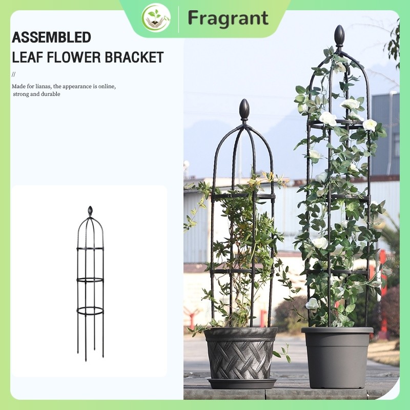 Climbing Vine Stand, European Flower Stand, Splicing Horticultural ...