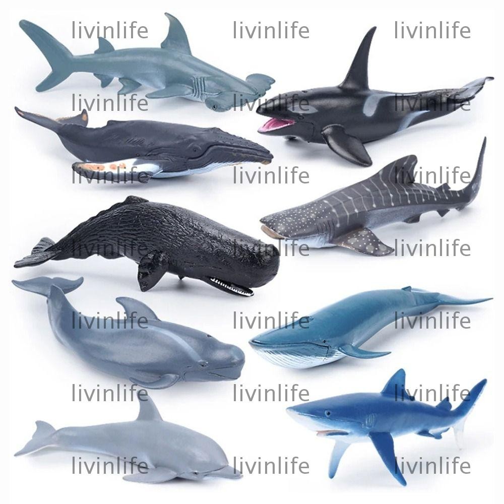 LIVINLIFE Simulation Sea Life, Shark Cachalot PVC Whale Figurines ...