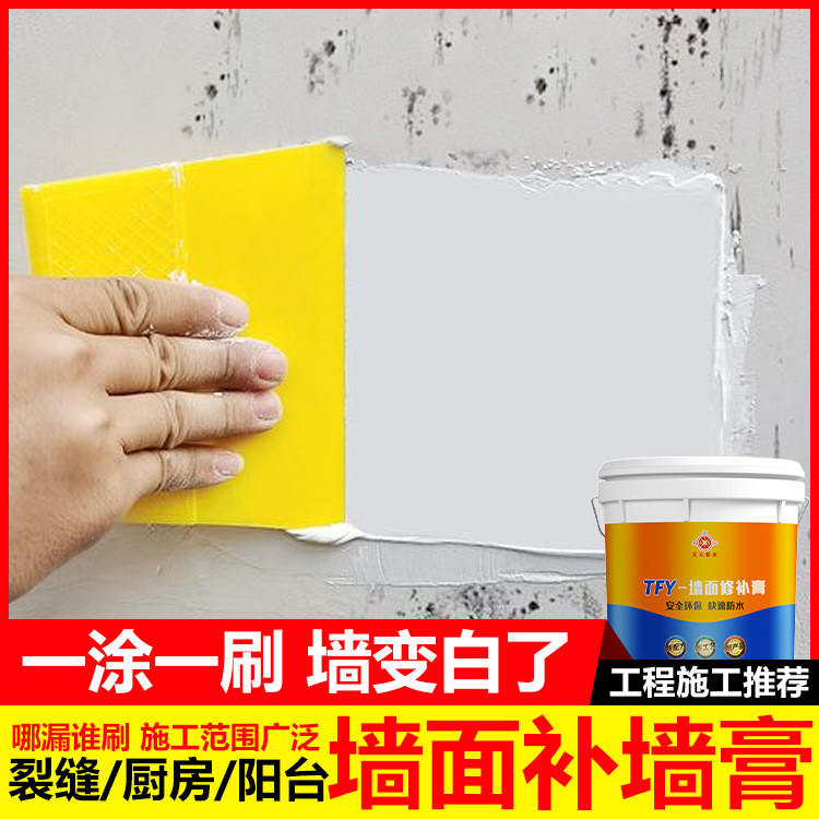 Tianyuan Wall Repair Paste Wall Putty Paste Anti-Mold Anti-Moisture ...