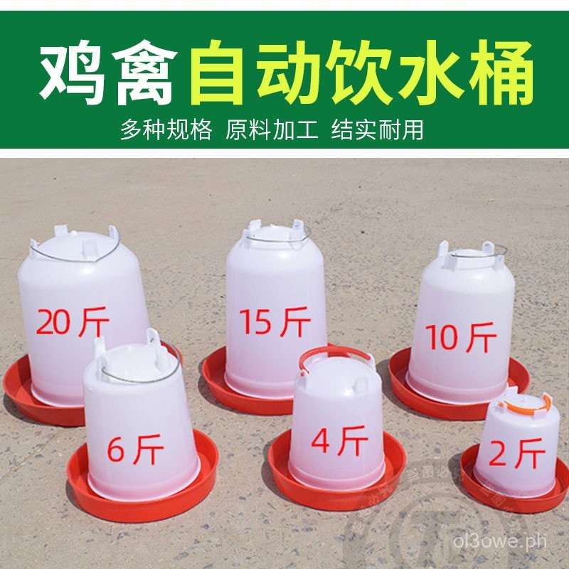 Free-Range Chicken Bucket Automatic Tower Bucket Free Range Chicken ...