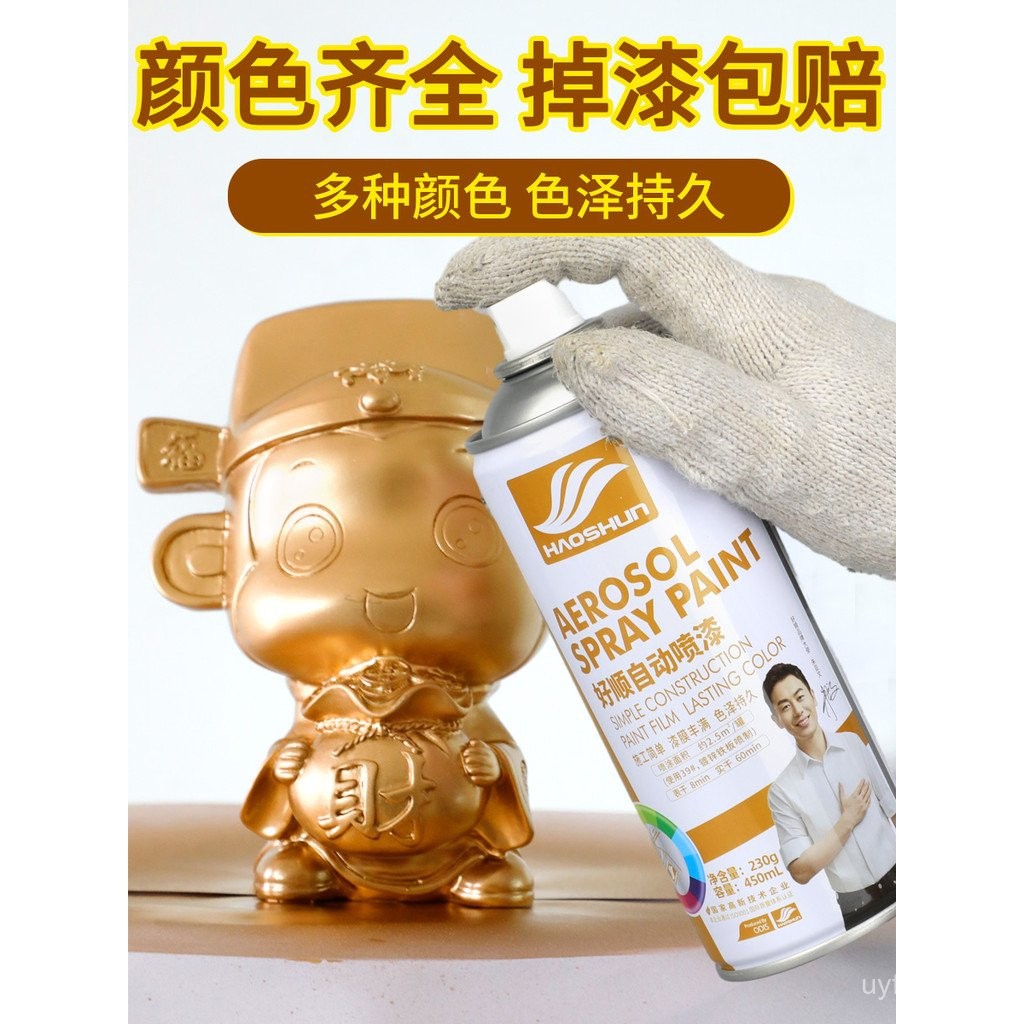 HaoShun Self-Spray Paint Hand-Shake Metal Anti-Rust Wheel Resin Spray ...