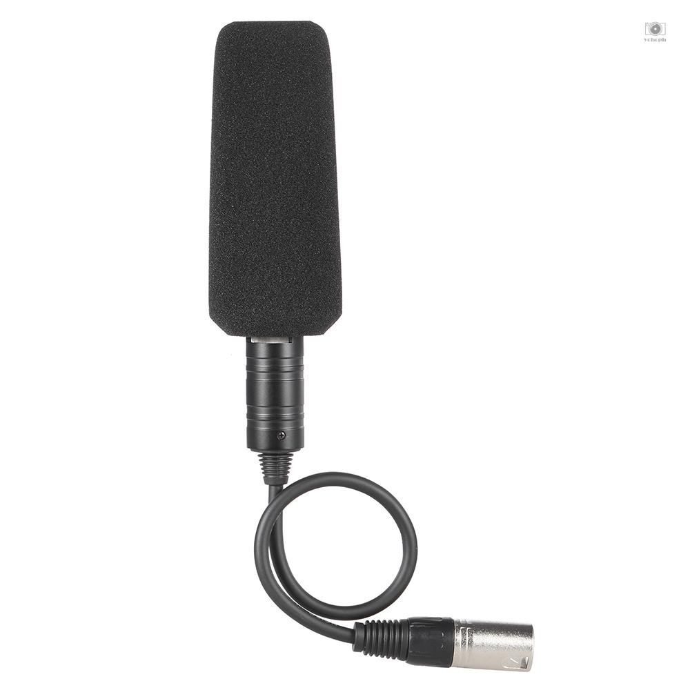 Stereo Condenser Mic Panosonic - Video Interview Stereo Video Panosonic ...