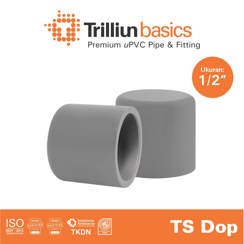 Trillion uPVC 1/2 Inch DOP TS Pipe Cap Connection | Shopee Philippines