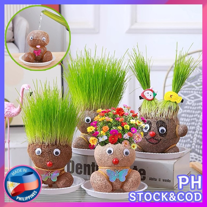Grass Head Mini Plant Office Table Plant Decor Potted plant Growing ...
